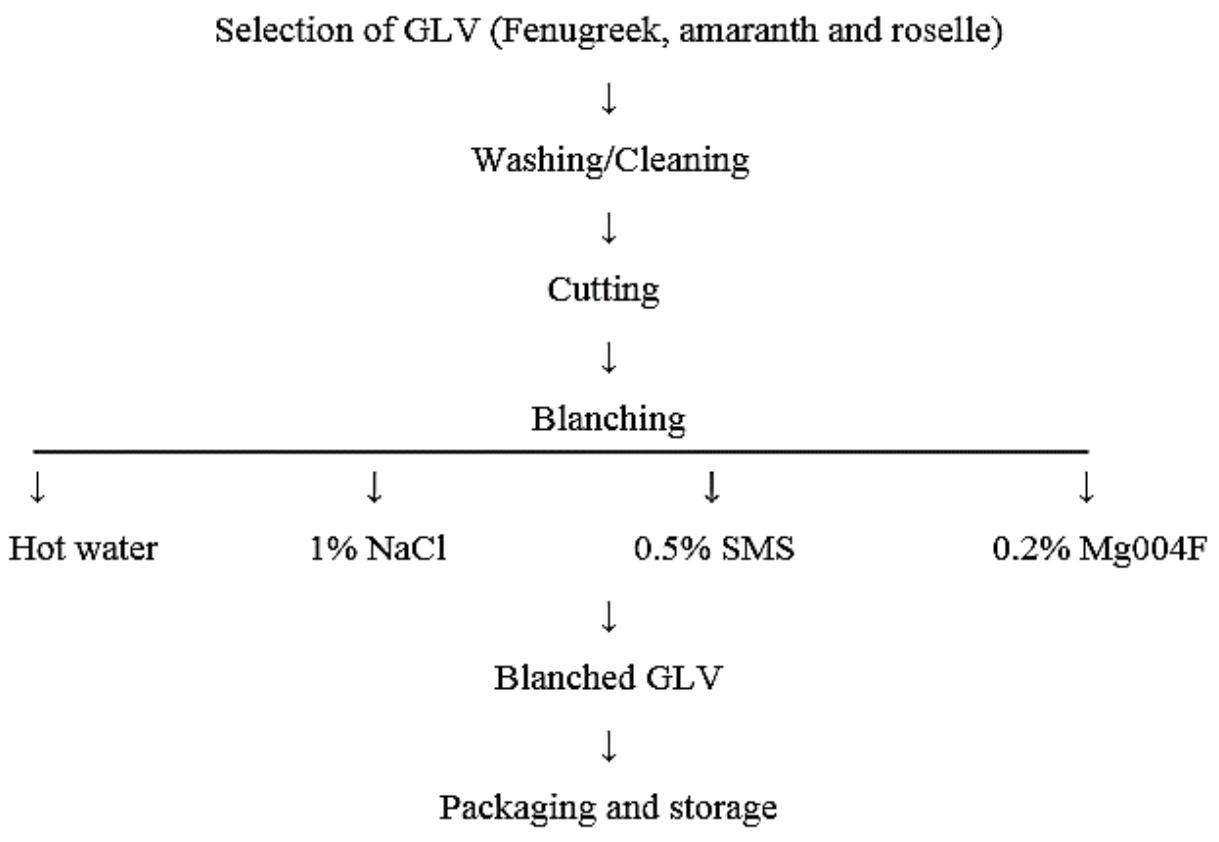Flowsheet 1: blanching of green leafy vegetables 2.2.2