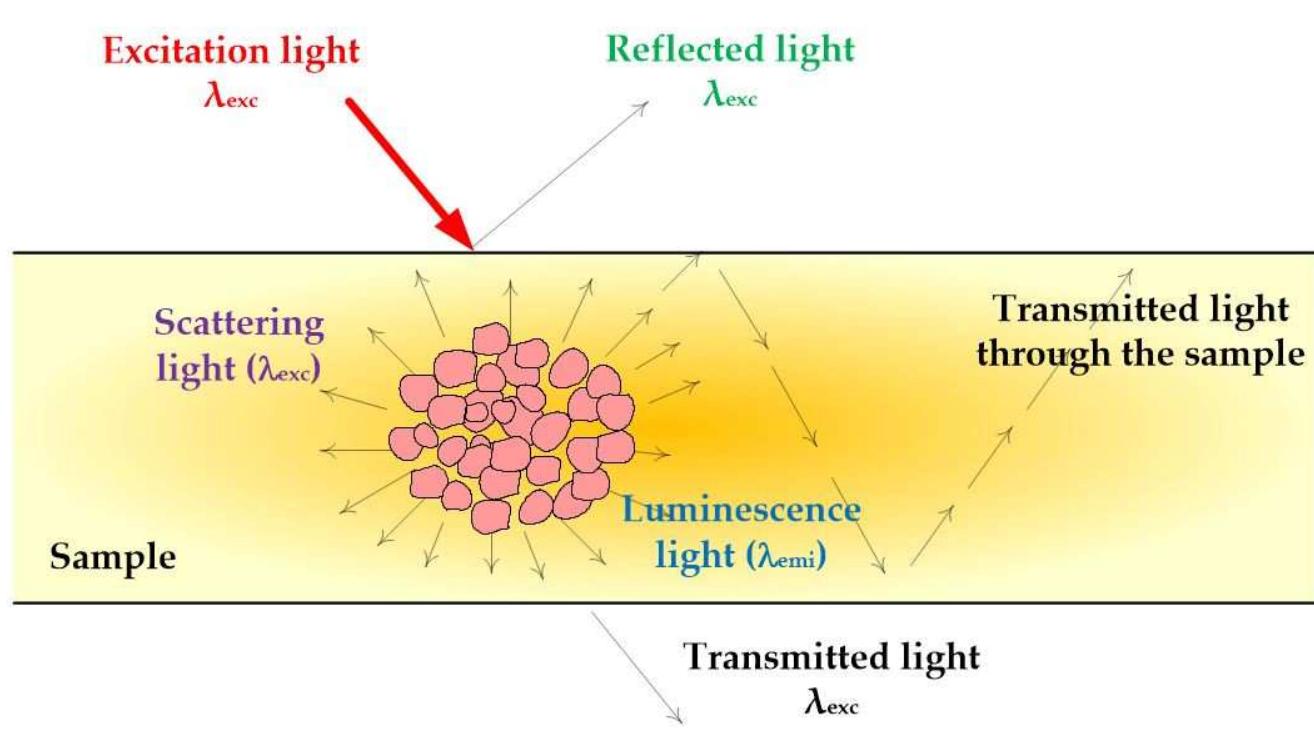 The combination of optical fibers, spectroscopy techniques,