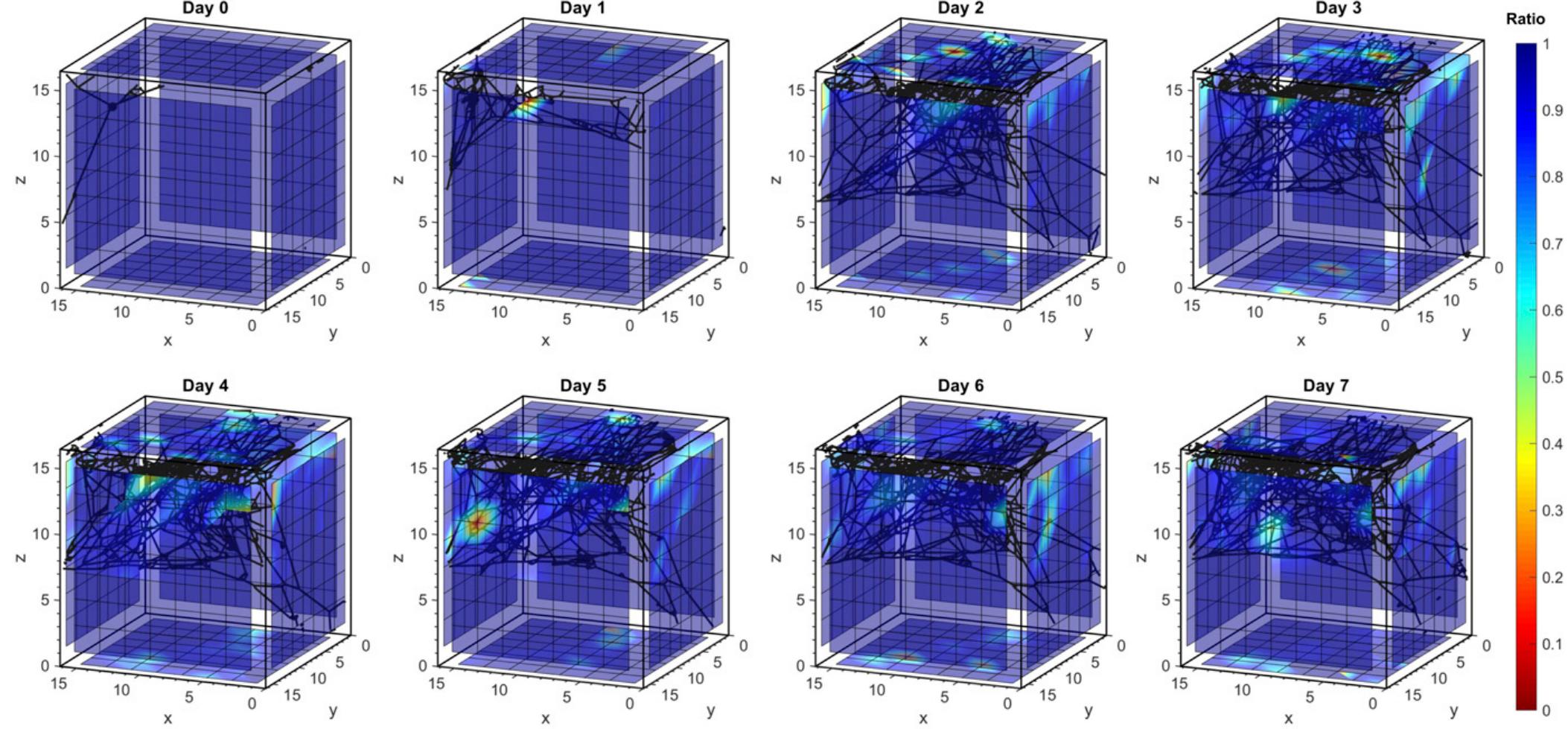 Projectile impact deceleration map. the color map represents
