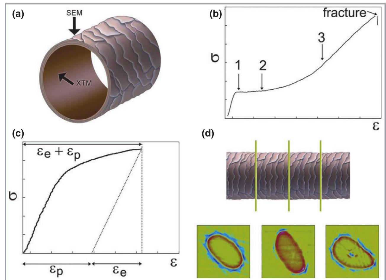 (a) schematic showing the combination of scanning electron