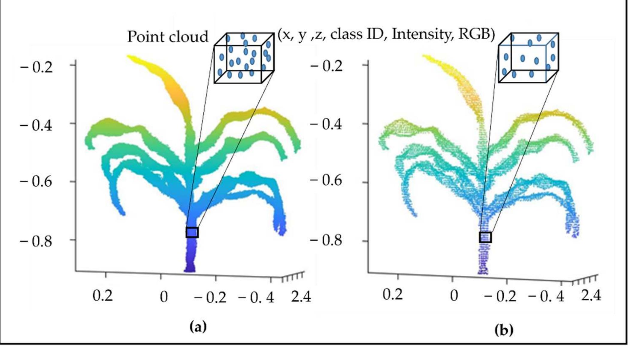 Lidar point cloud data model of a sorghum plant with the