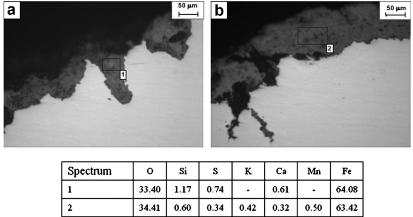 Sem images of pipe cross section close to the rupture