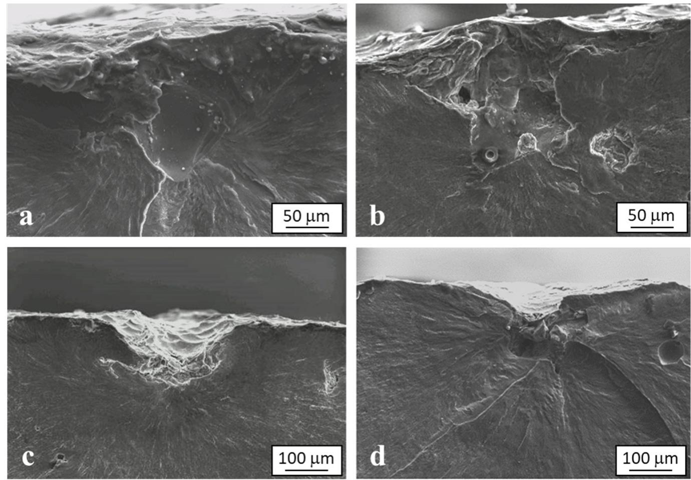 Sem images of the fracture surface showing the typical