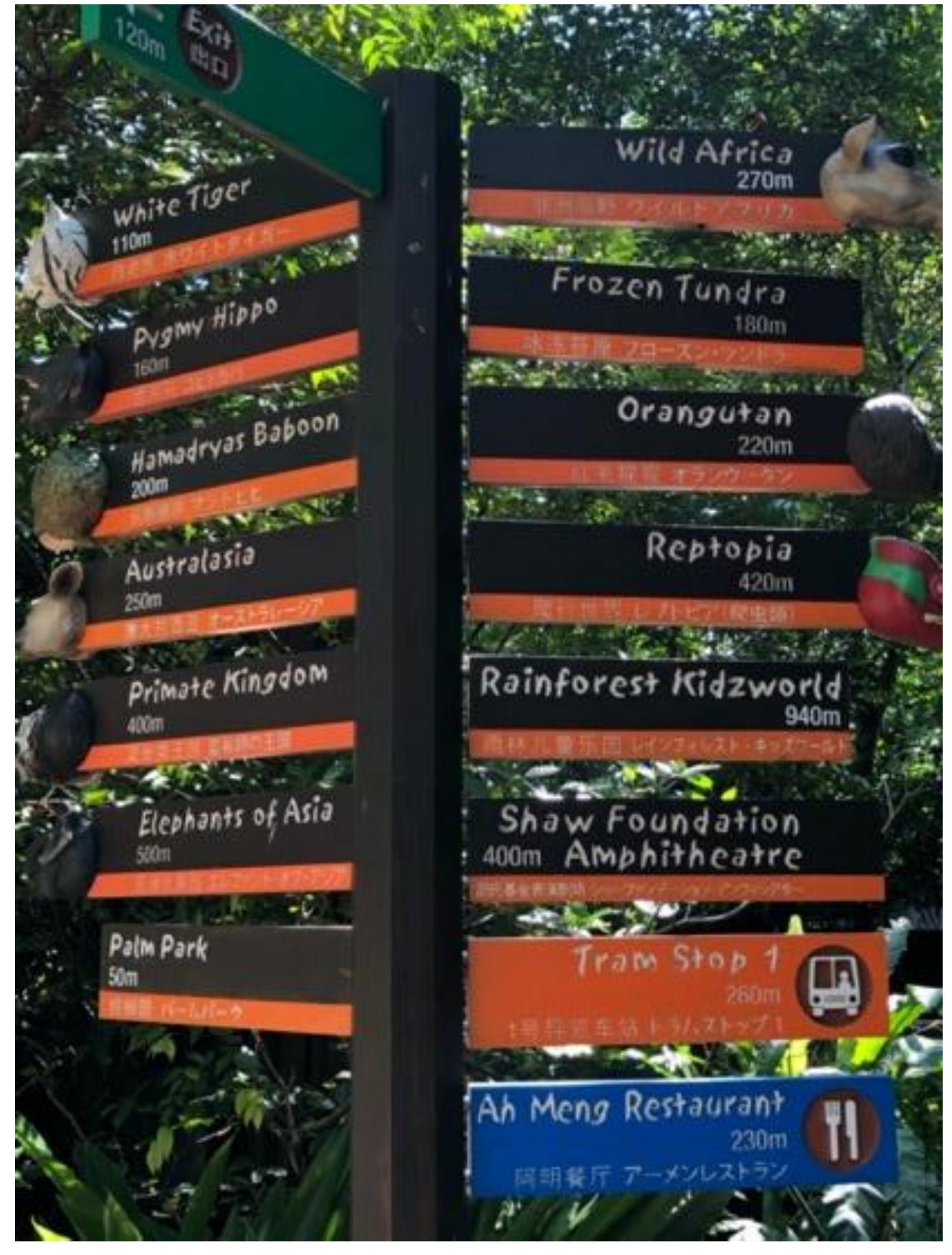 Directional sign at the singapore zoo