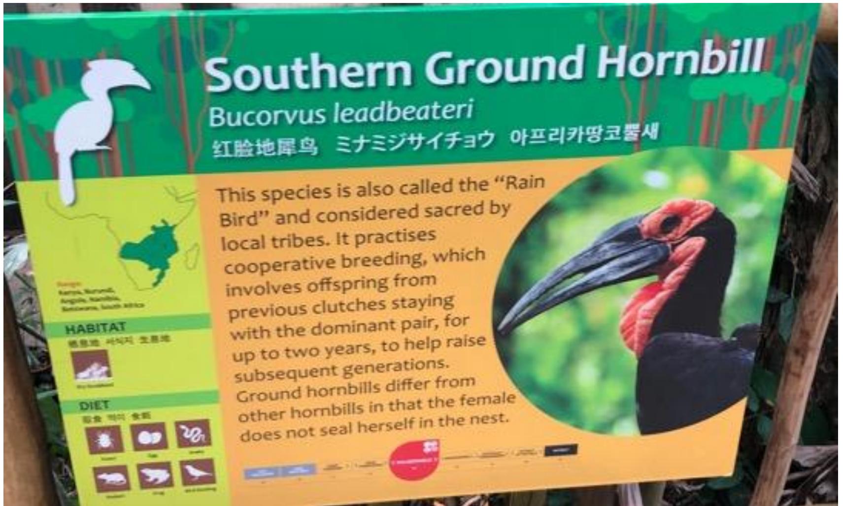 Exhibit information sign at the jurong bird park