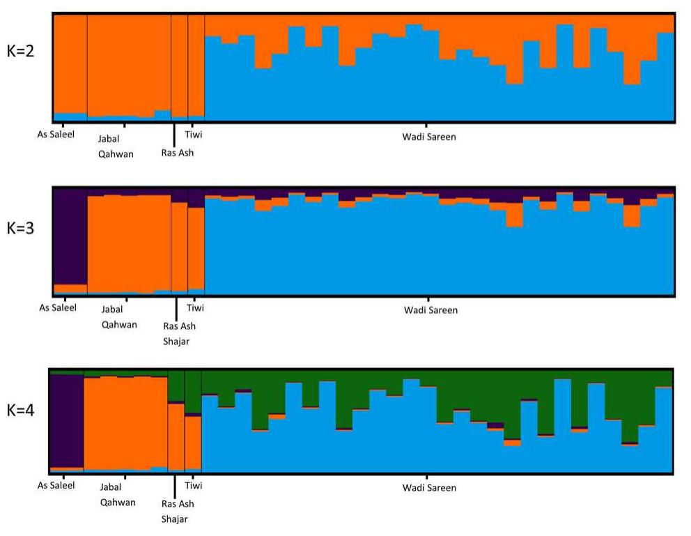 Bar plot presenting the results from structure for dif-