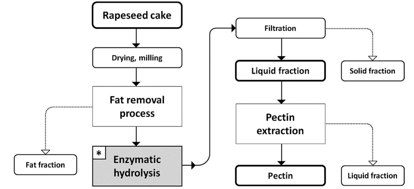 Schematic of the extraction process of pectin from rapeseed