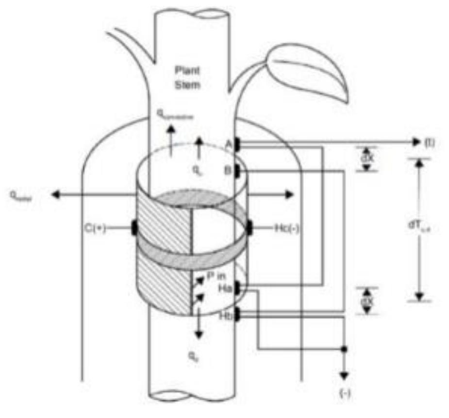 12 schematic diagram of former stem flow sensor (lascano et