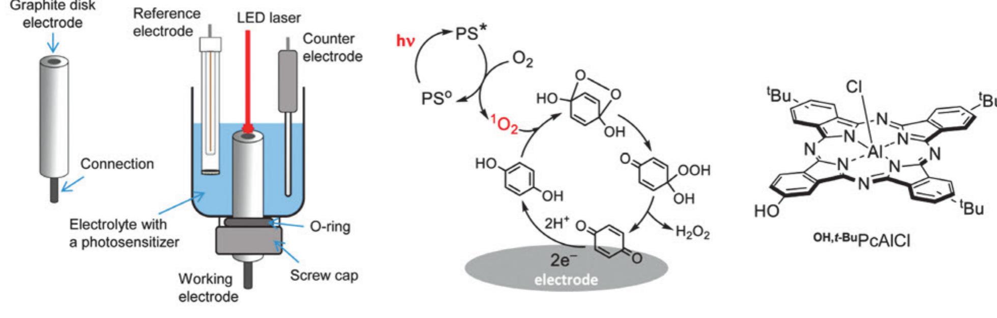 Schematic illustration of three-electrode cell equipped with