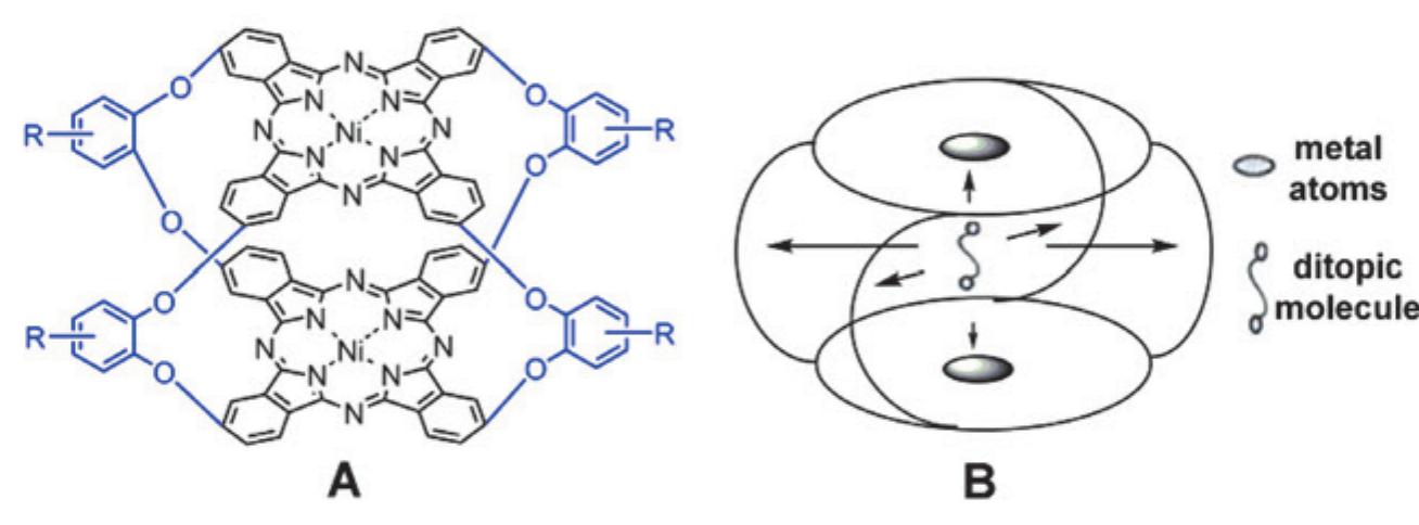Structure of binuclear ni(ii)