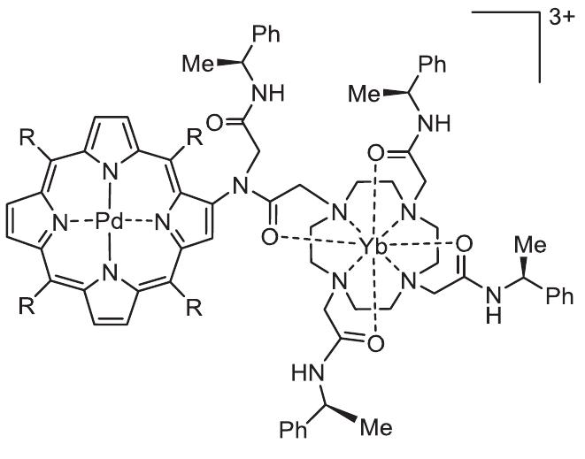 Structure of yb-pd-heteronuclear complex with dota-