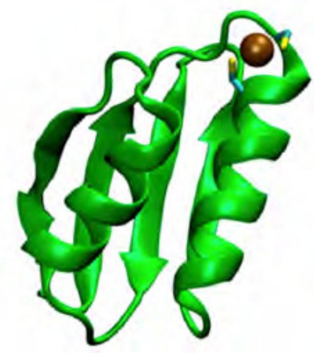 Ag’ was investigated [80]. azurin is a copper protein