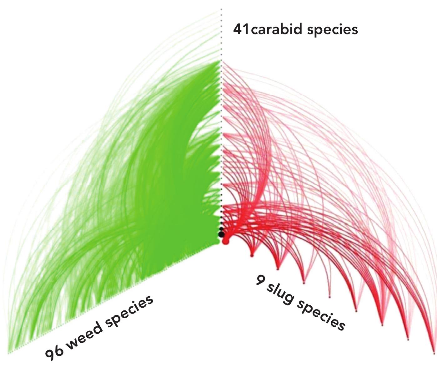 Hive plot of a composite food web constructed from the