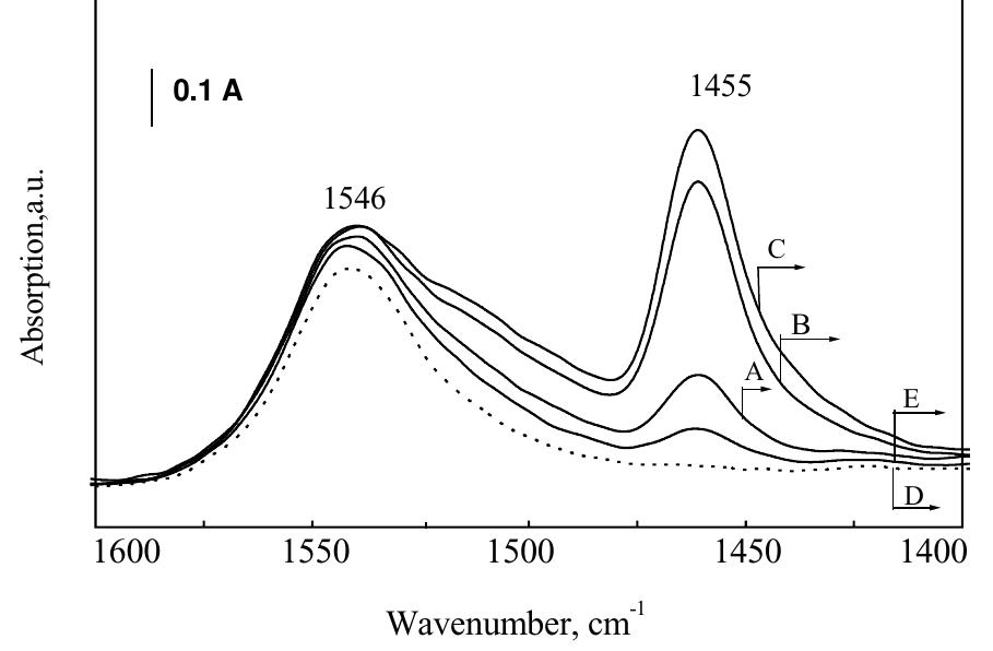 Ir spectra of pyridine species after adsorption at 423 k (p