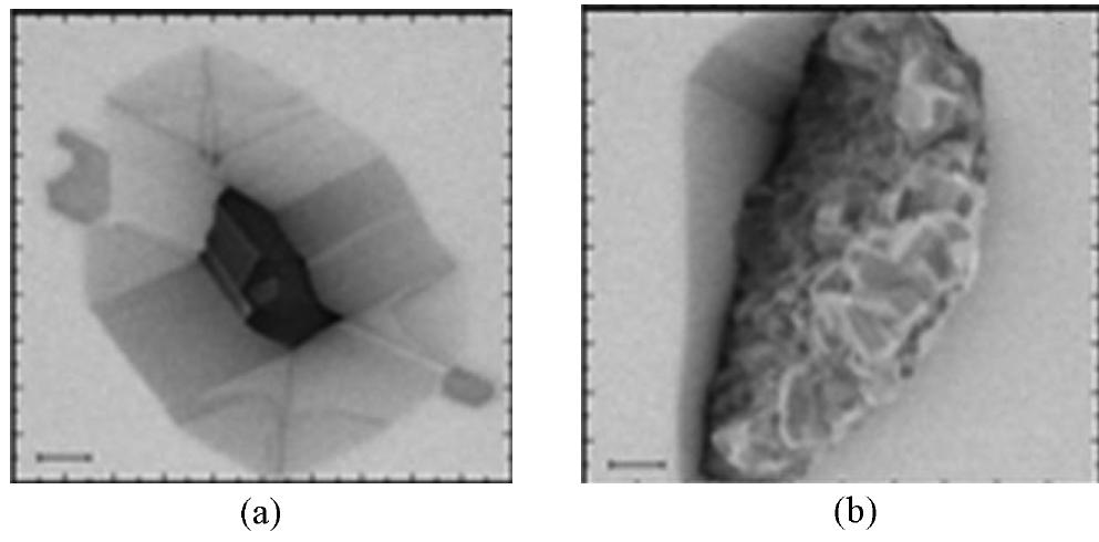Sem image of a) hexagonal defect and b) particle. fig. 3.