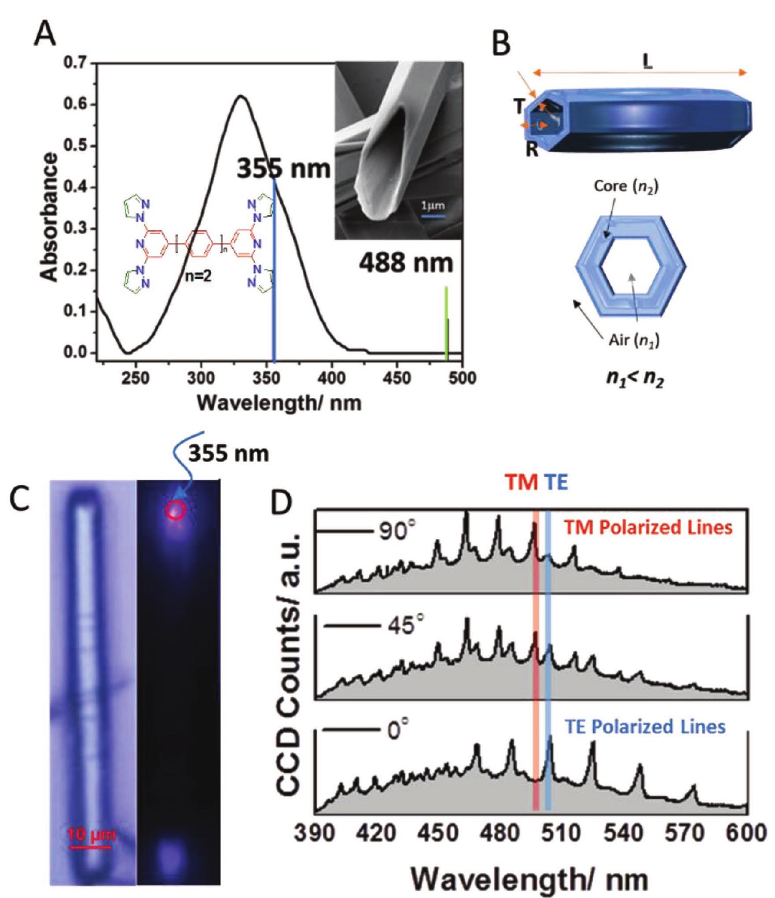 A) the solid-state absorbance of bpp molecule shown in the