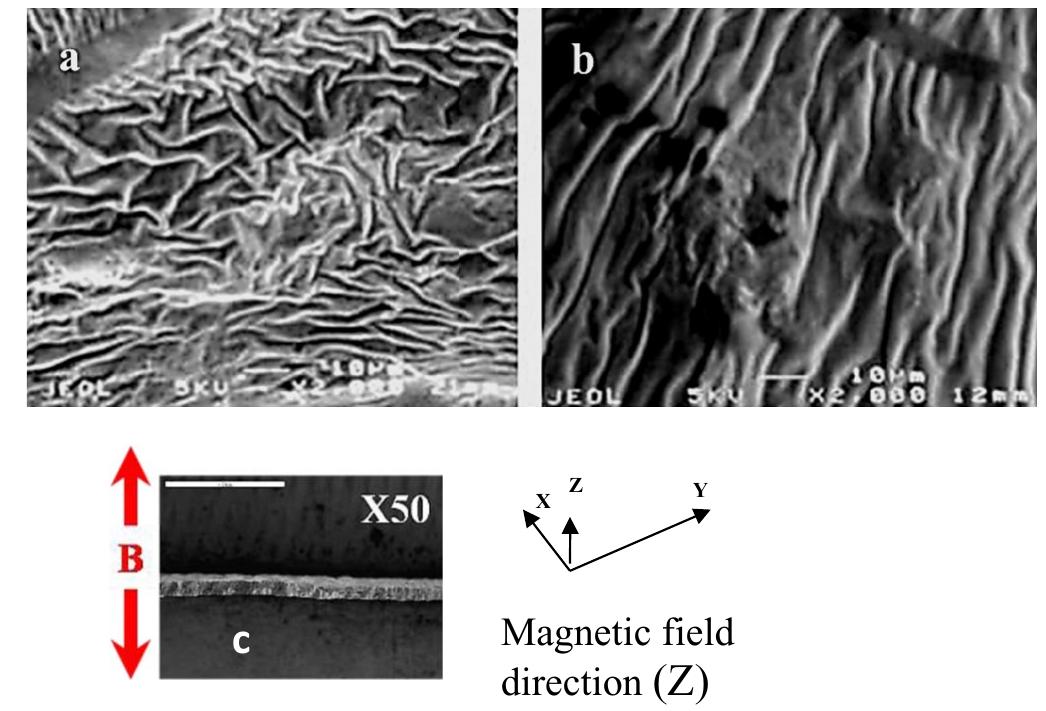 Sem images of the cross-section of 9% maghemite -modified
