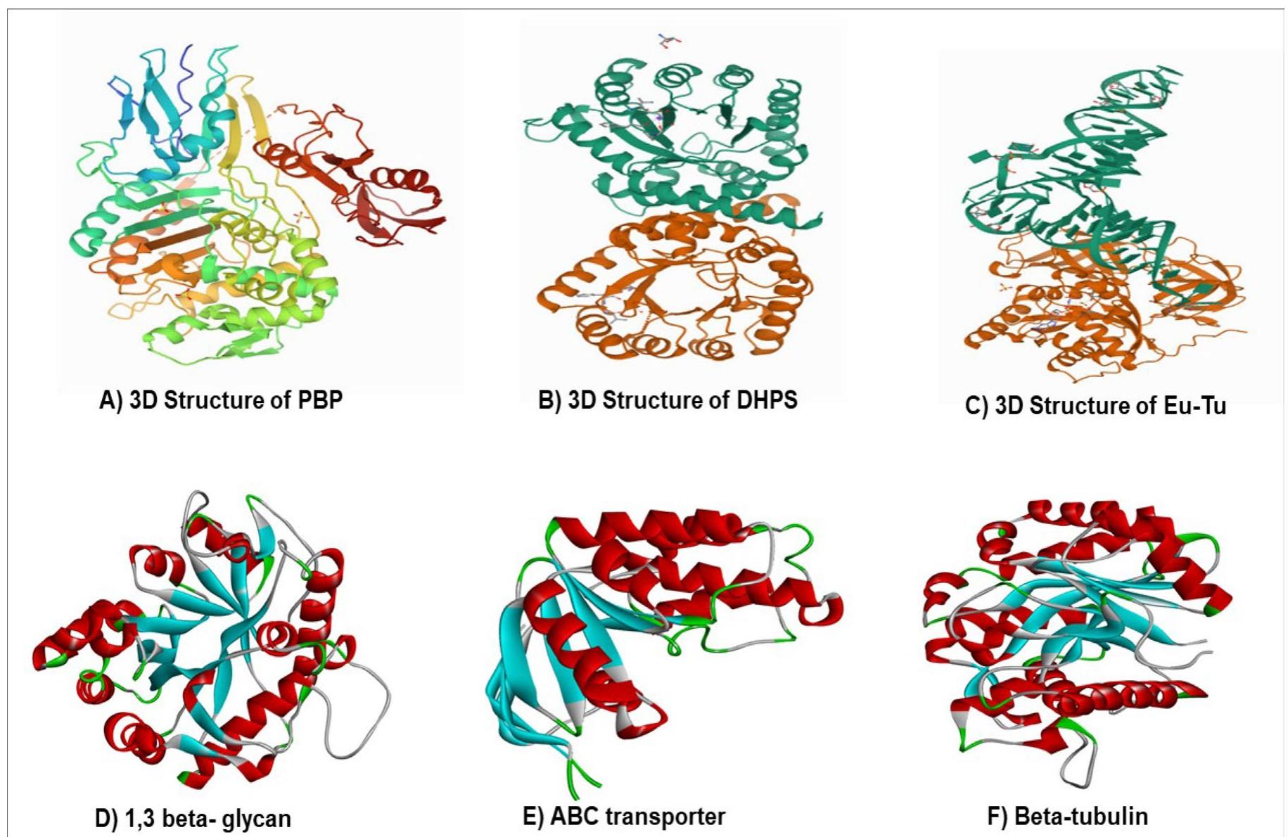 3d structure of different bacterial and fungal proteins.