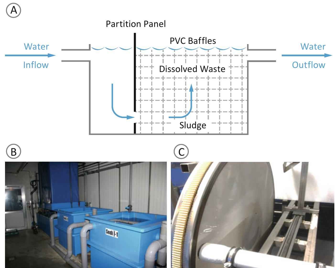 4 principle of aquaponic filtration with a sedimenter (a—b)