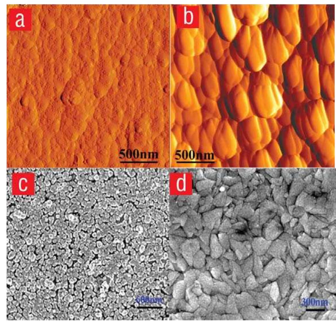 14: afm and sem top view images of nfo/zpt - af deposition
