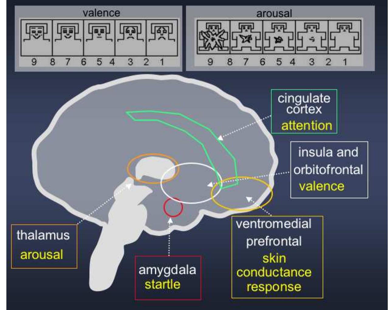 By using correlation ana yses interactions between {m for
