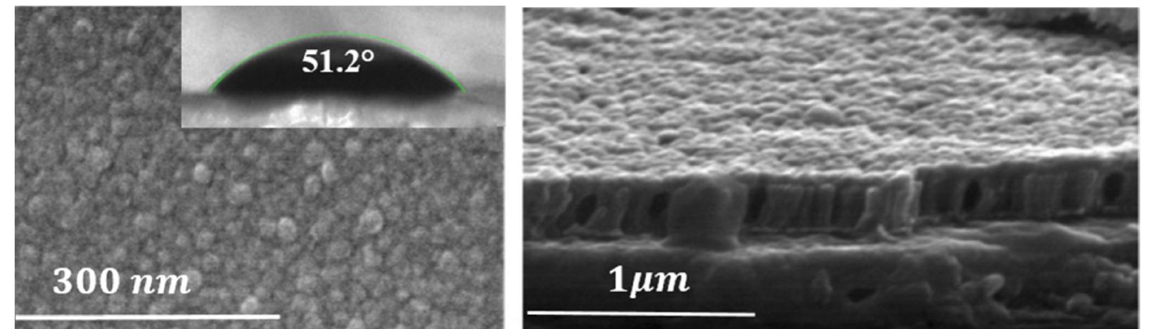 Fesem images of surface and cross-section of 500 nnm mn thin