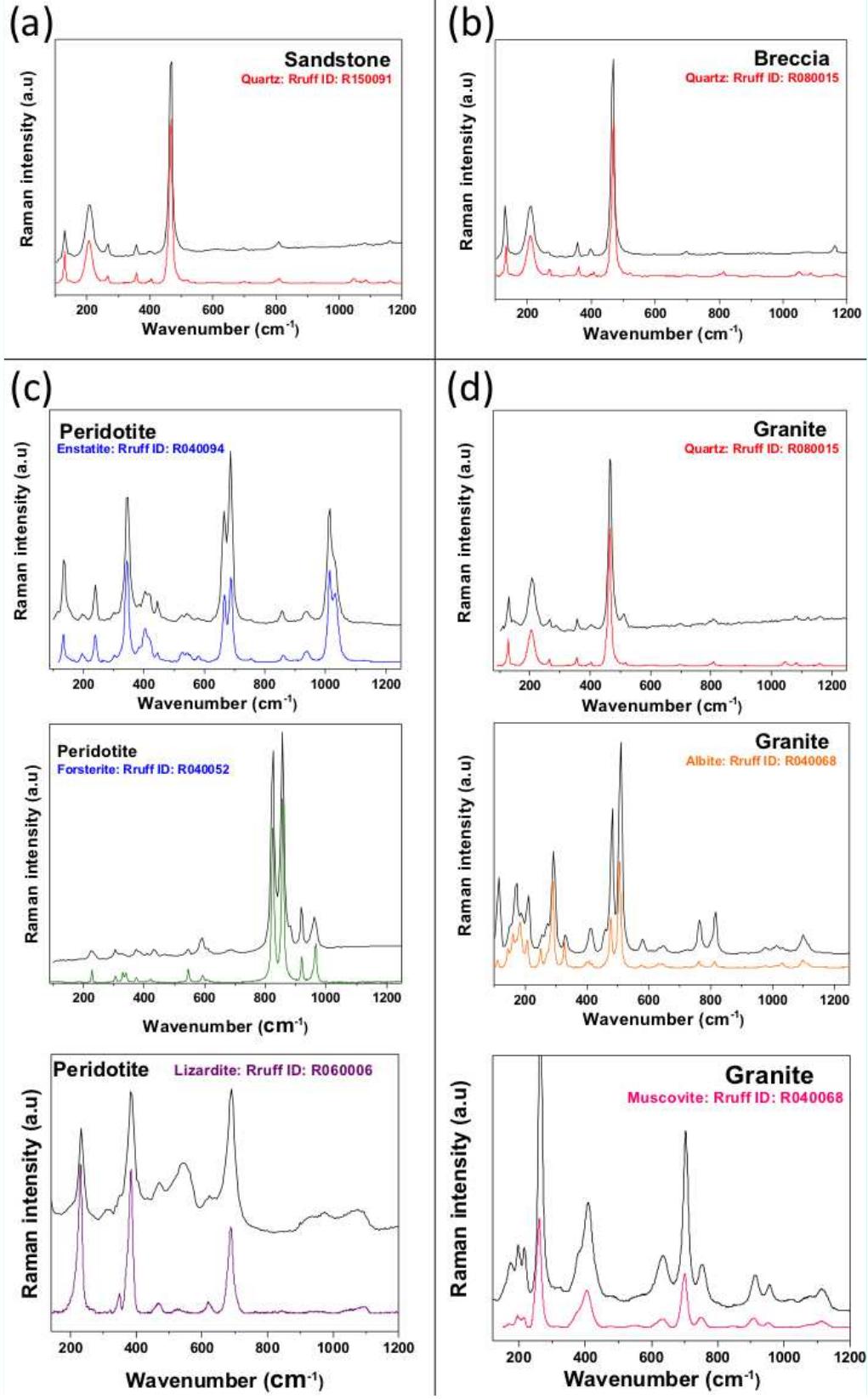 Raman spectra of the minerals formed on (a) sandstone (b)