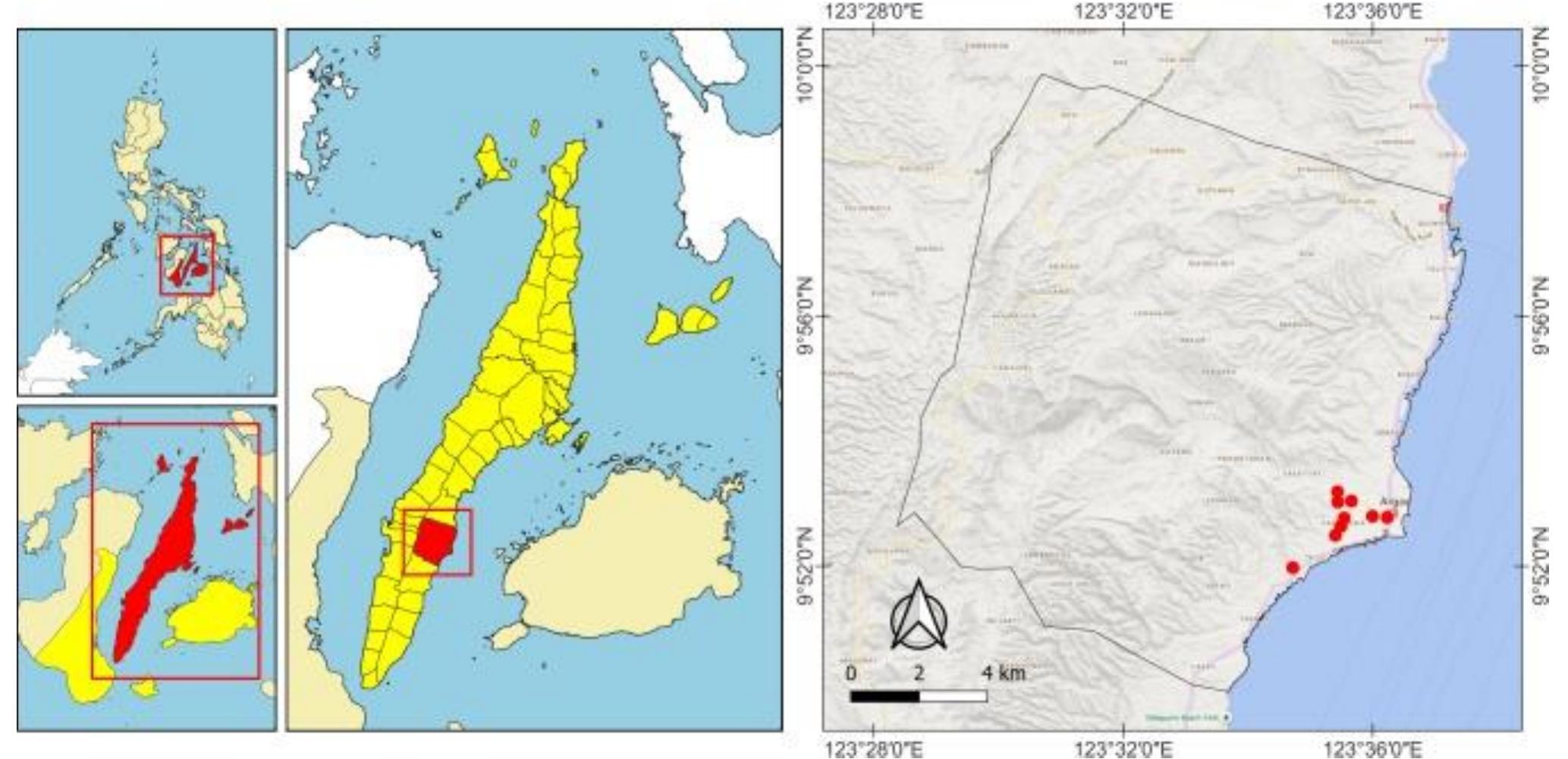 The philippine map showing cebu island and the municipality