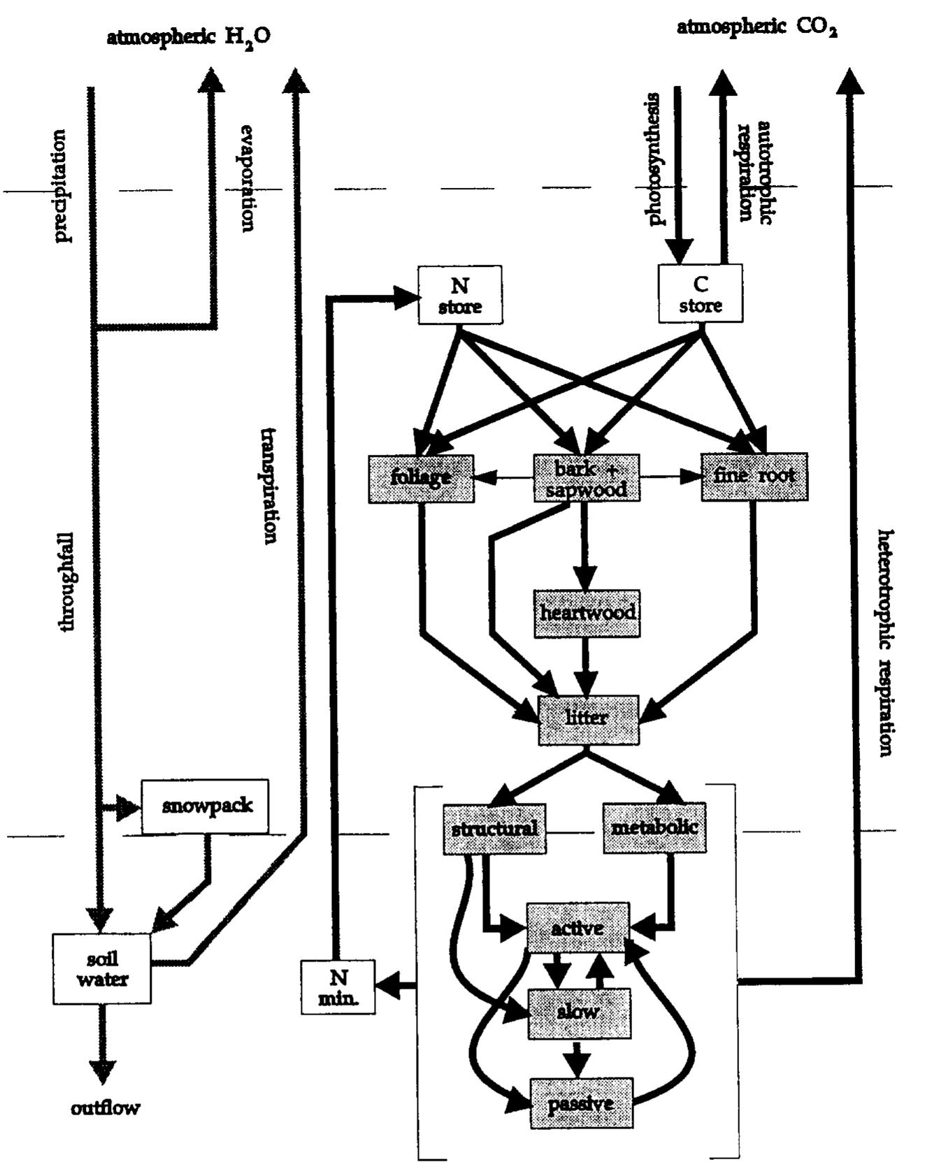 Flow diagram showing the main flows of carbon, water, and