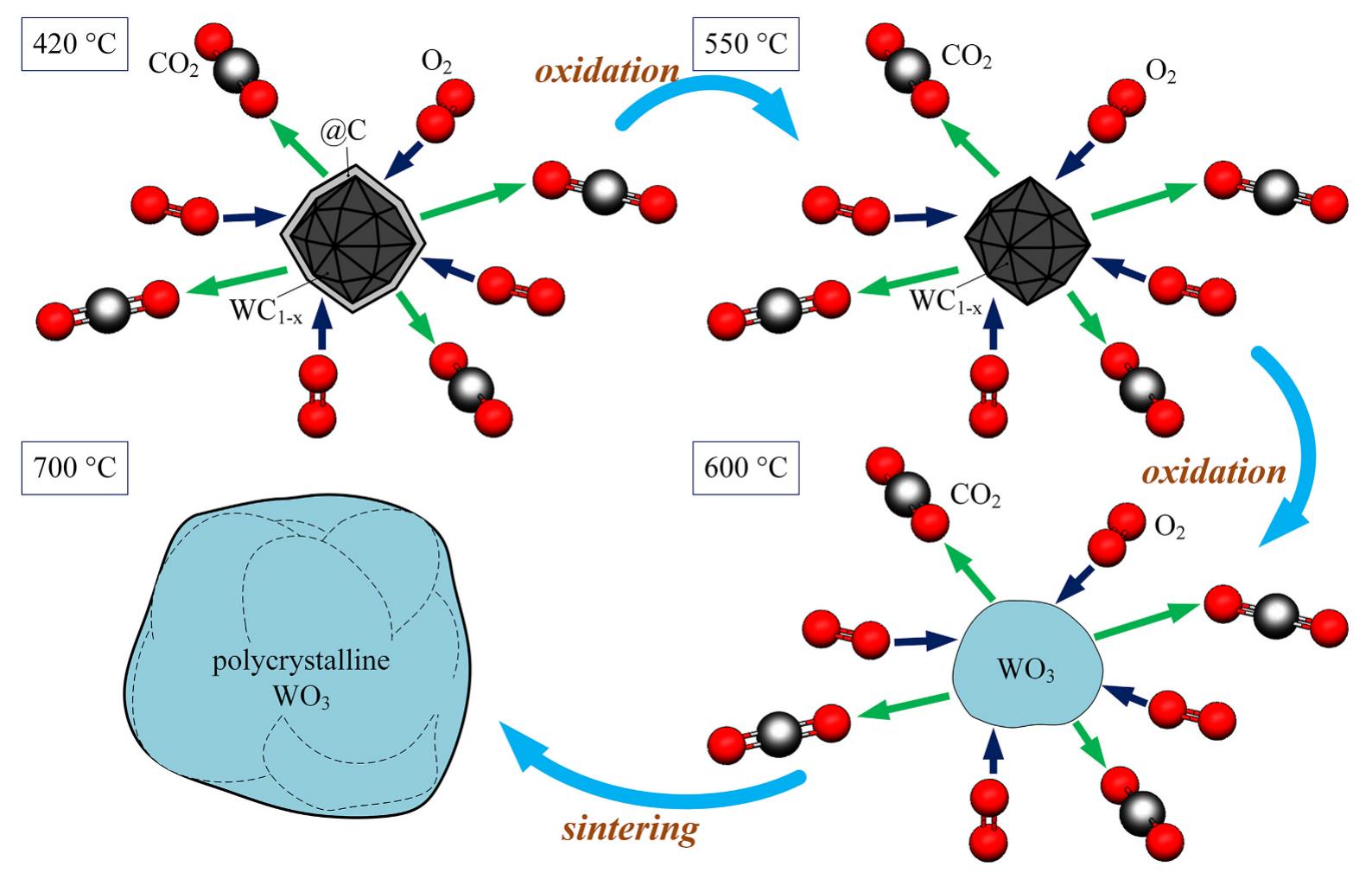 The model of wc;., oxidation processes.