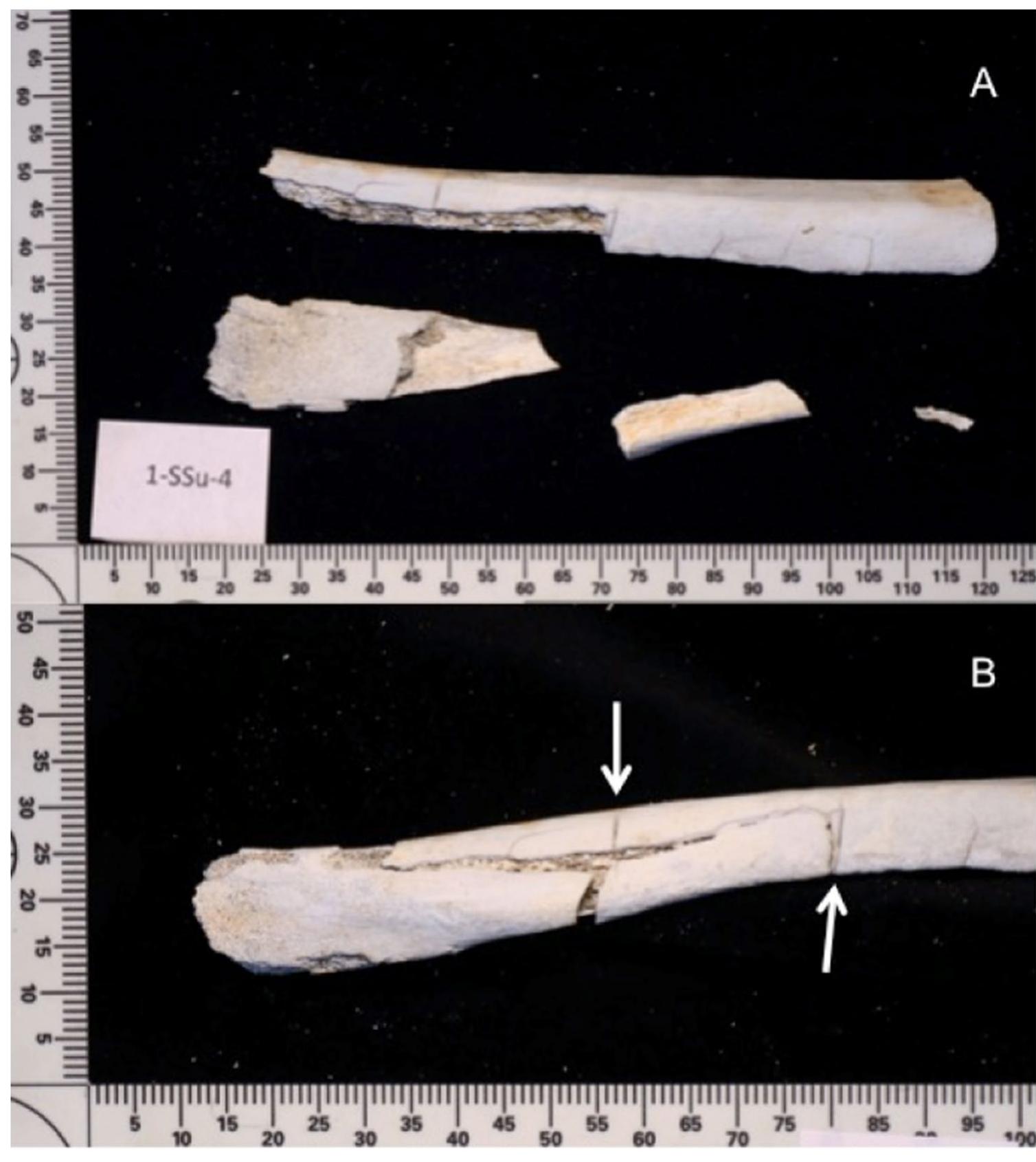 It is clear that the environmental exposure, as well as the