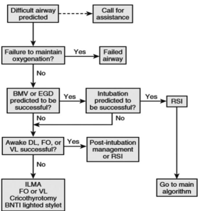 Difficult airway algorithm. bmv: bag-mask ventilation; bnti: