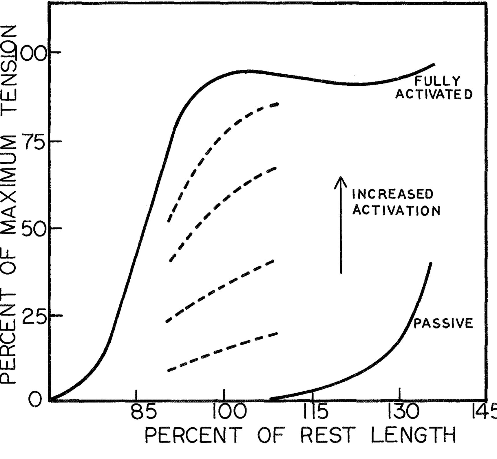 Figure 6 - Sensory feedback in human posture control