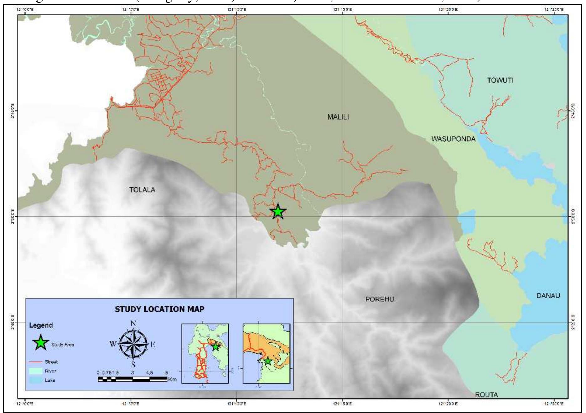 Eso is tectonicly dismembered and widespread from gorontalo