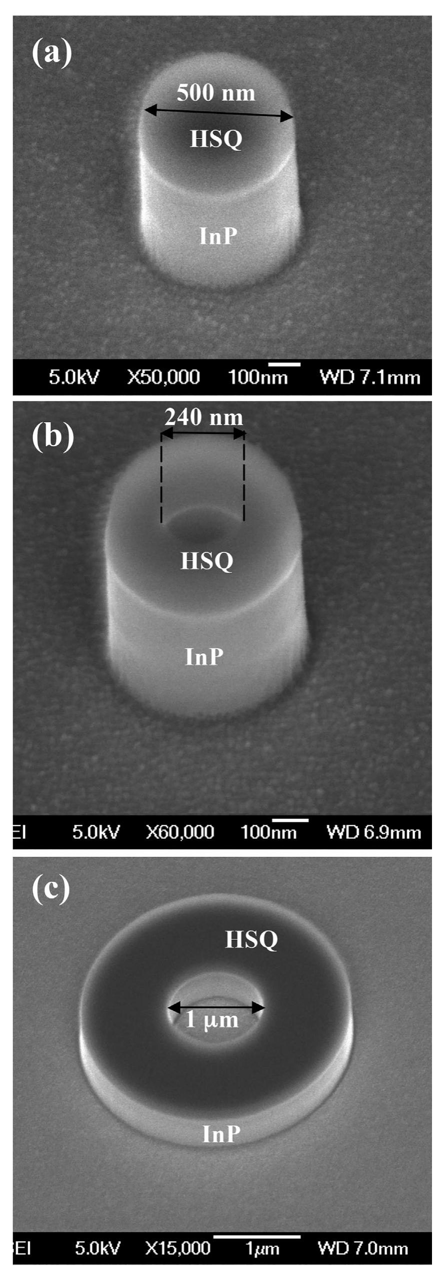 Oblique-angled sem images showing inp a) disk and b), c)