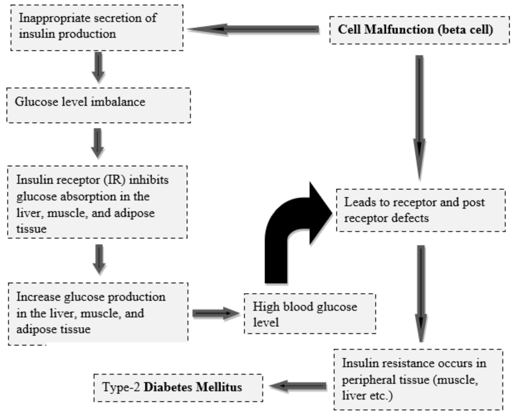 Pictorial representation of pathophysiology of type 2