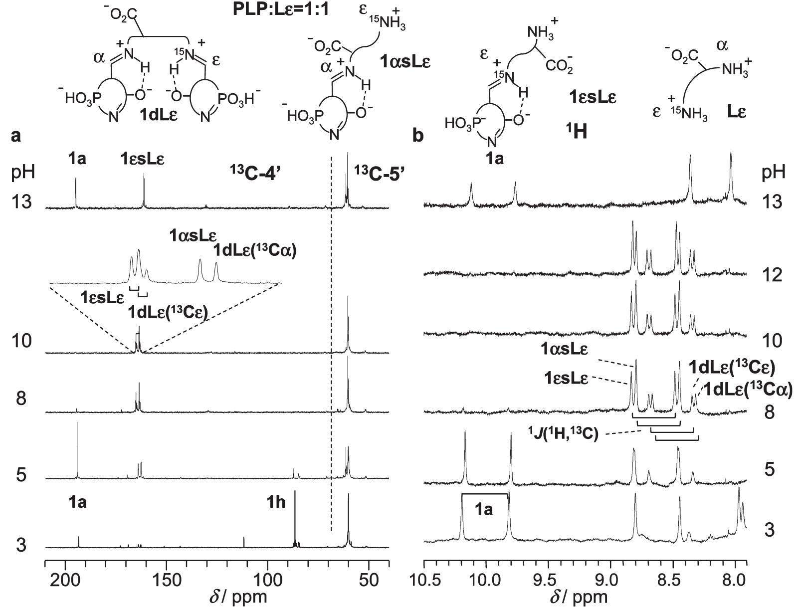 Ficure 3: (a) '*c nmr spectra and (b) 'h nmr spectra of
