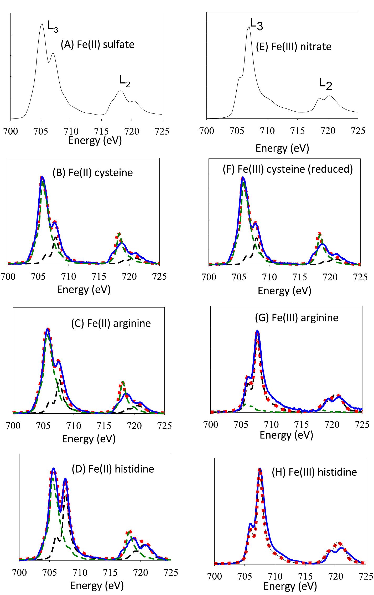 Iron l23-edge xanes spectra of fe(ii)- and fe(ii)- amino
