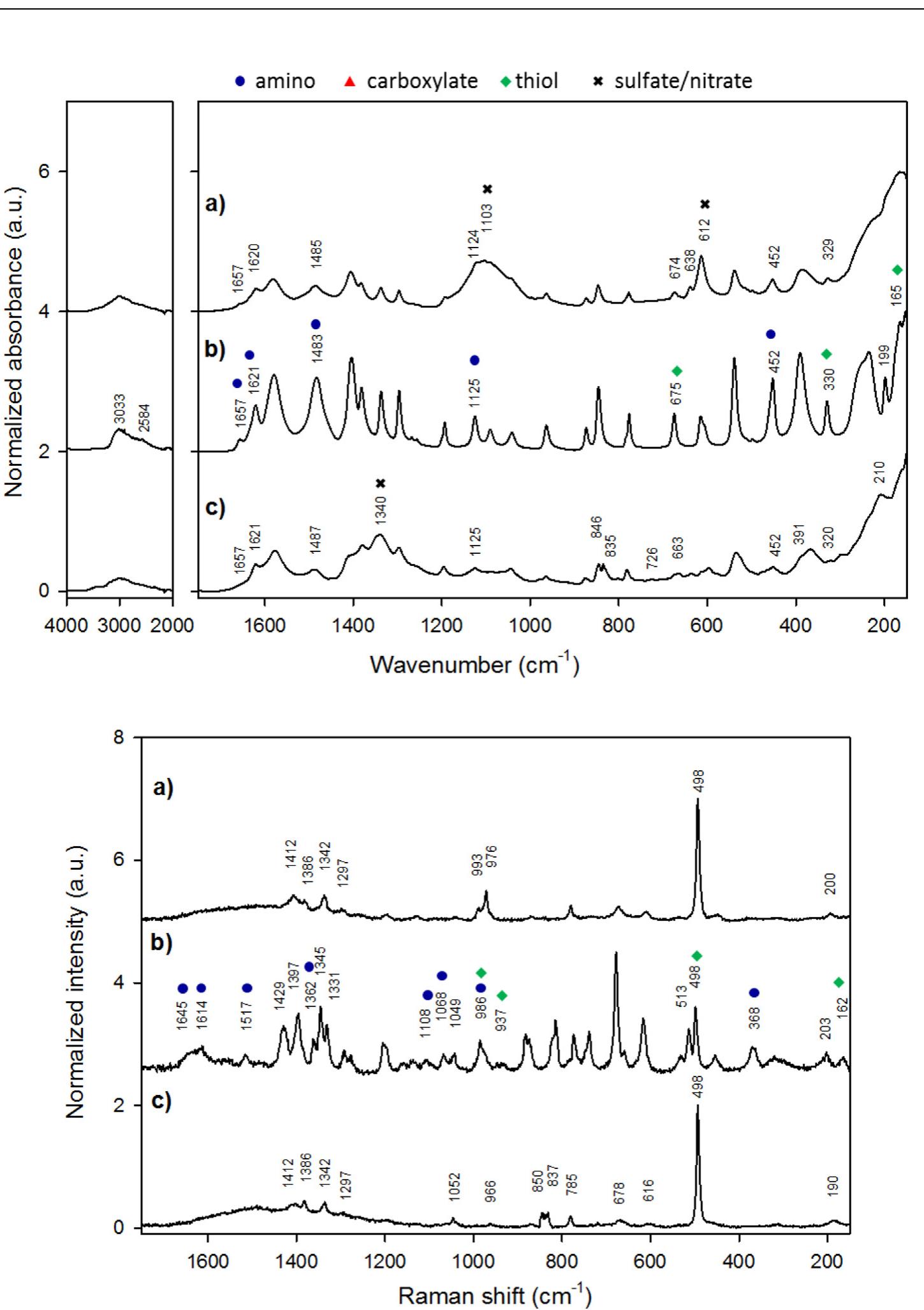 Ftir (top) and raman (bottom) spectra of fe(ii)-cysteine