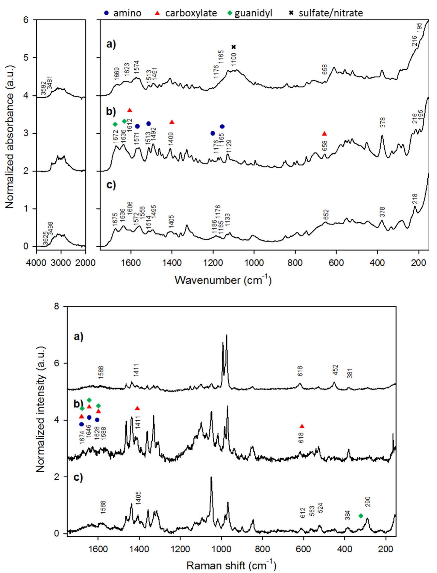 Figure 4 - from Ligands representing important functional