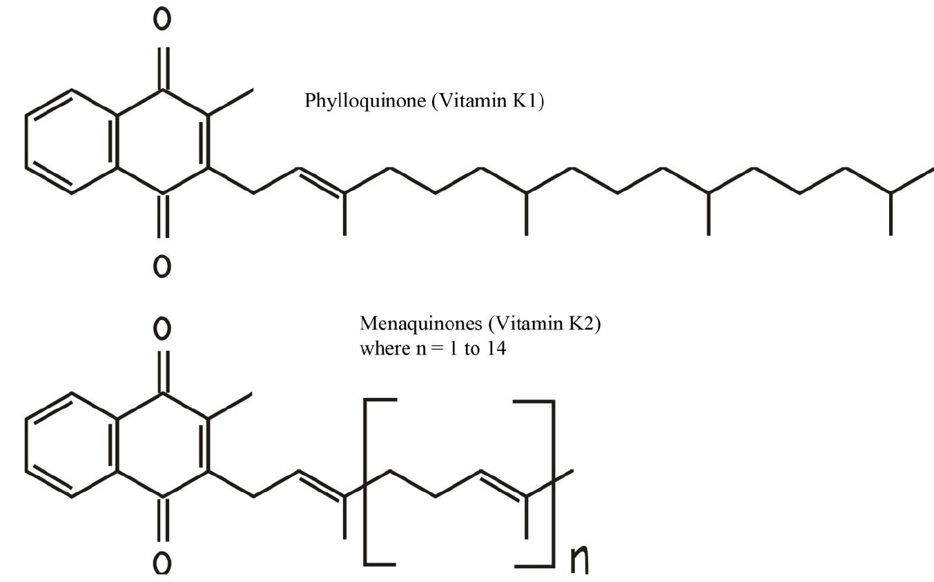Molecular structure of phylloquinone and menaquinone vitamin