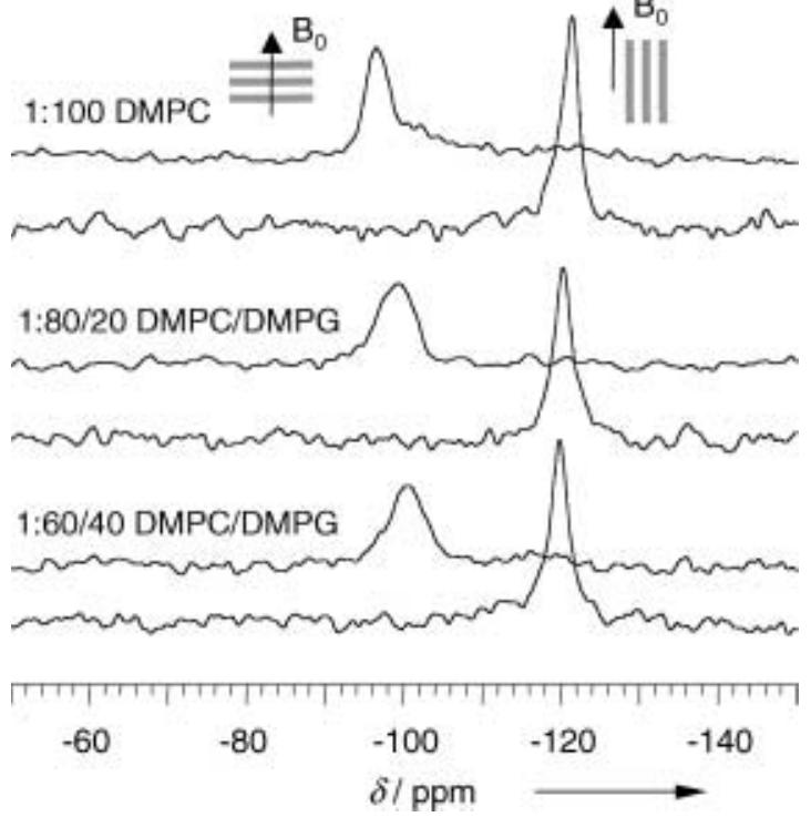 Solid-state '°f nmr spectra of oriented membranes containing