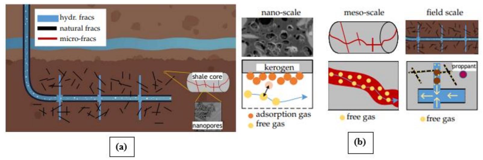 Description of shale gas production (a) gas transportation