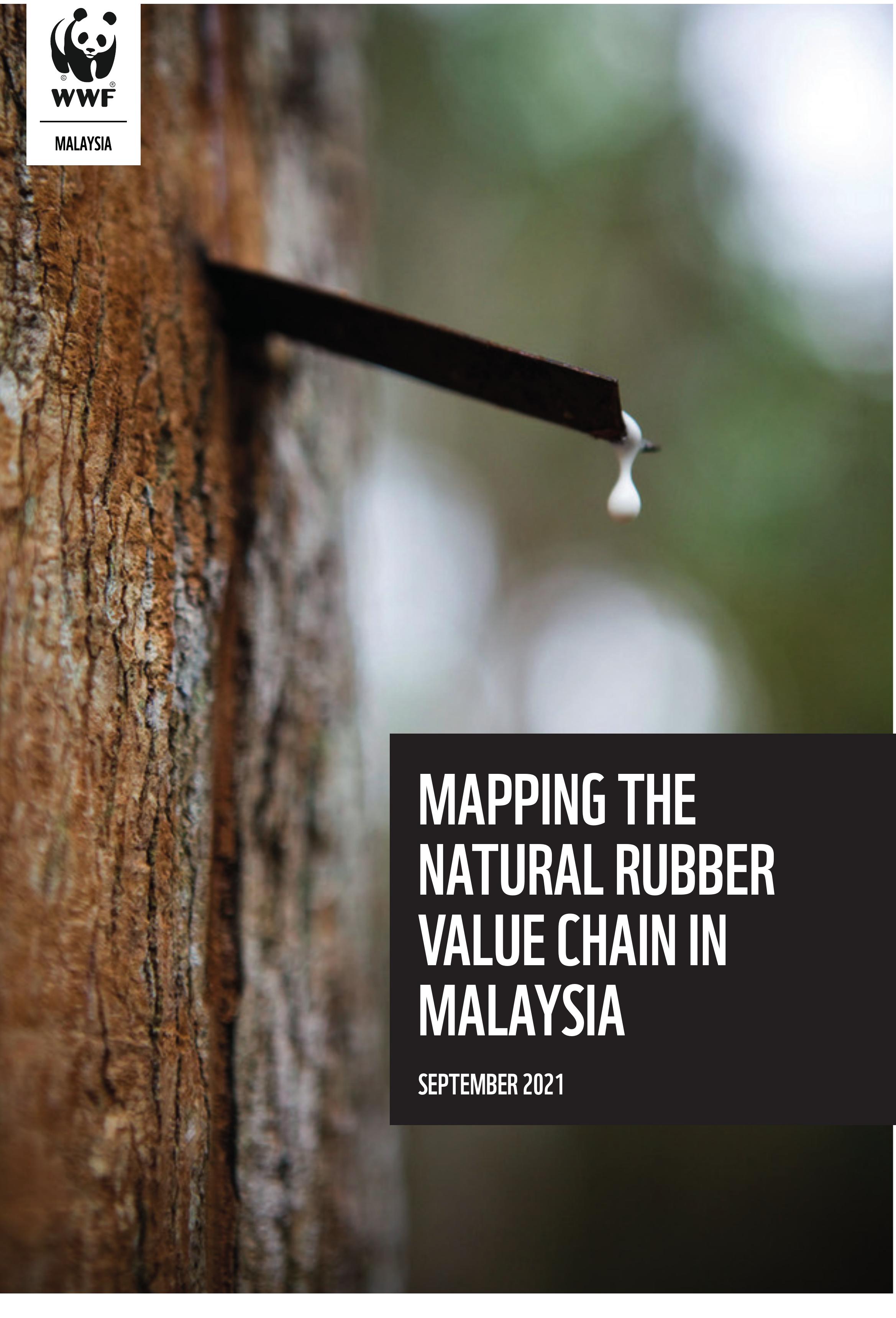 Figure 1 - Mapping the Natural Rubber Value Chain in