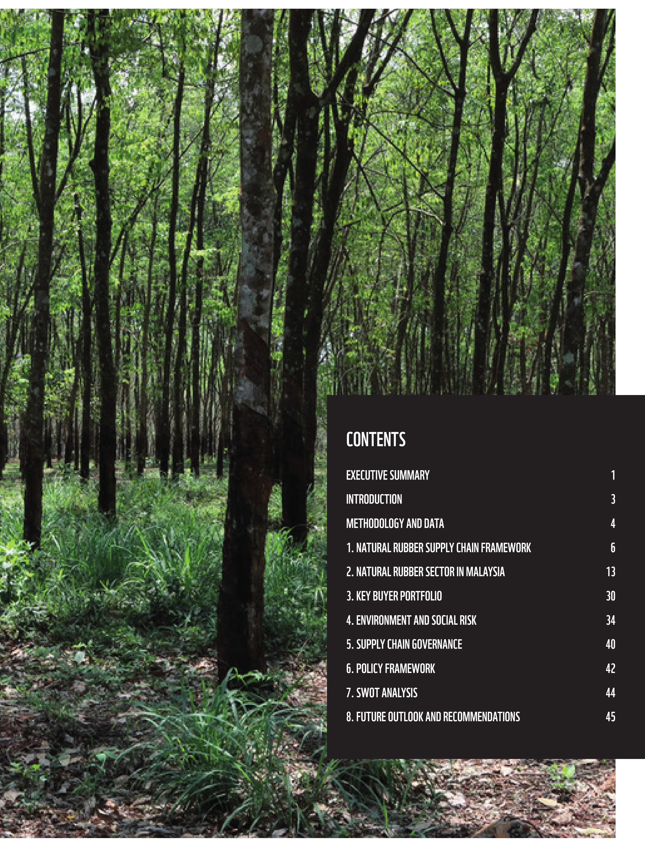 Figure 3 - Mapping the Natural Rubber Value Chain in