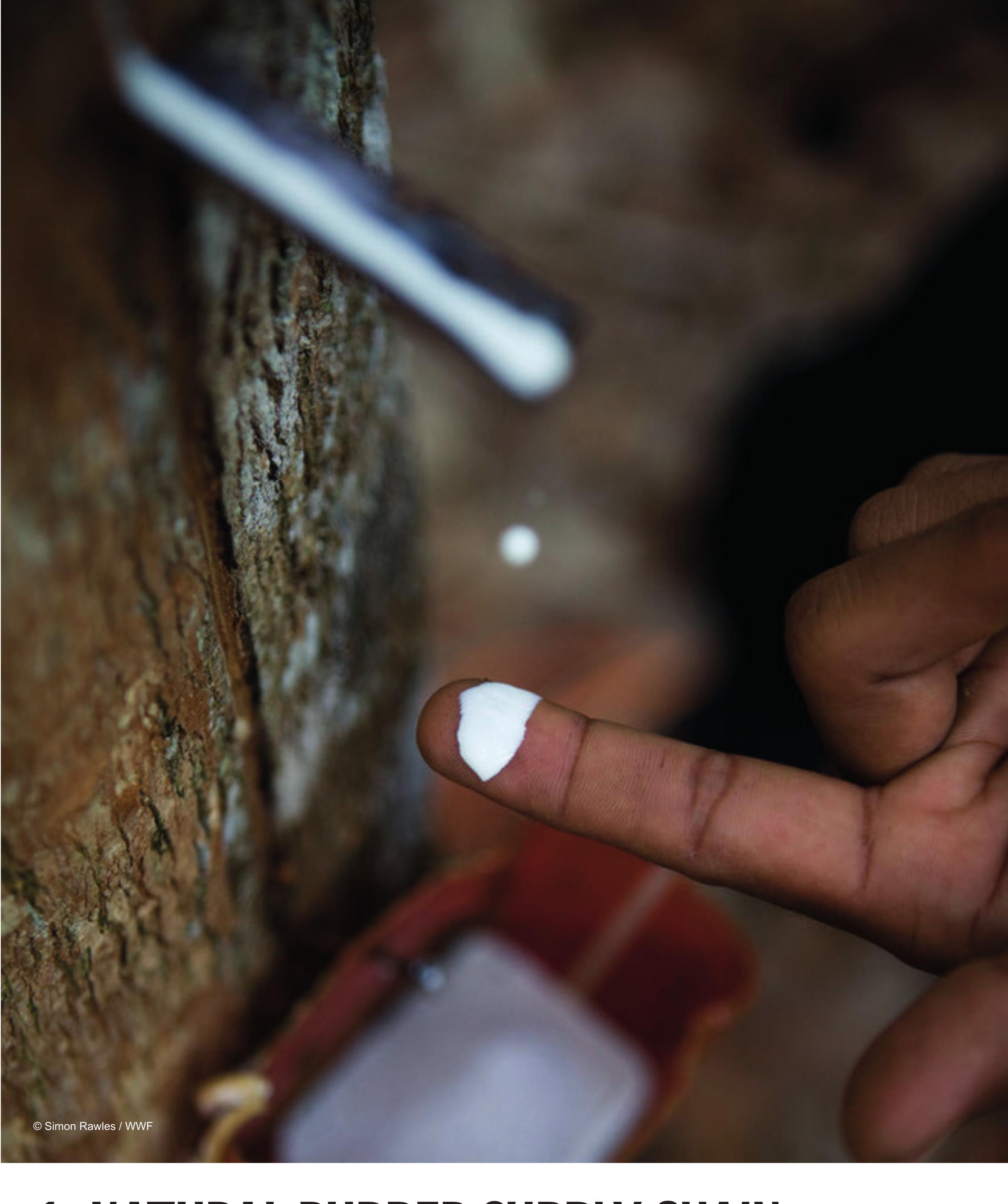 Figure 8 - Mapping the Natural Rubber Value Chain in