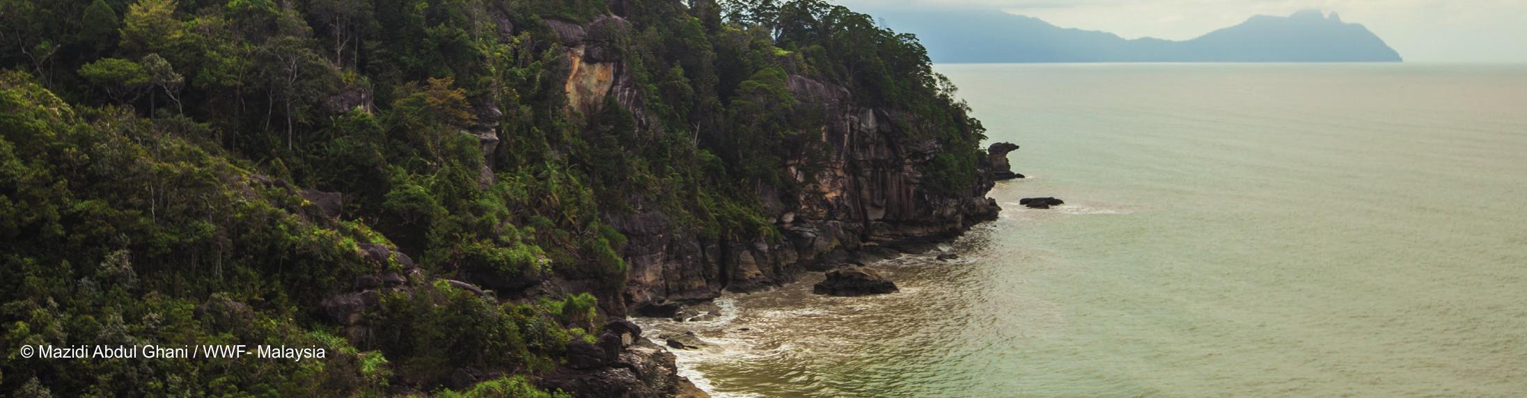 Figure 10 - Mapping the Natural Rubber Value Chain in