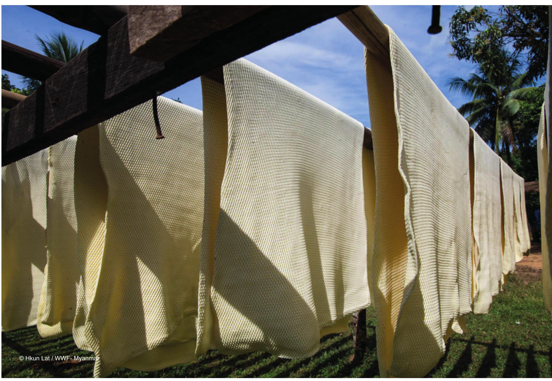 Figure 23 - Mapping the Natural Rubber Value Chain in