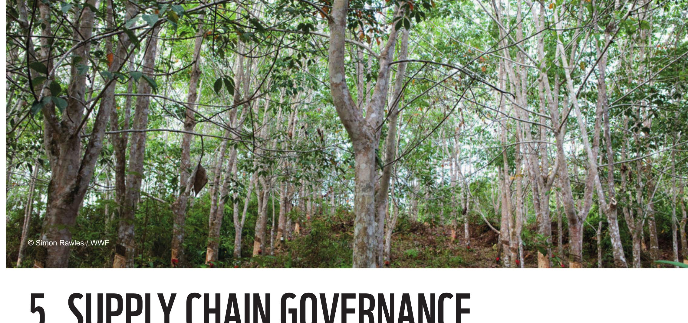 Figure 33 - Mapping the Natural Rubber Value Chain in
