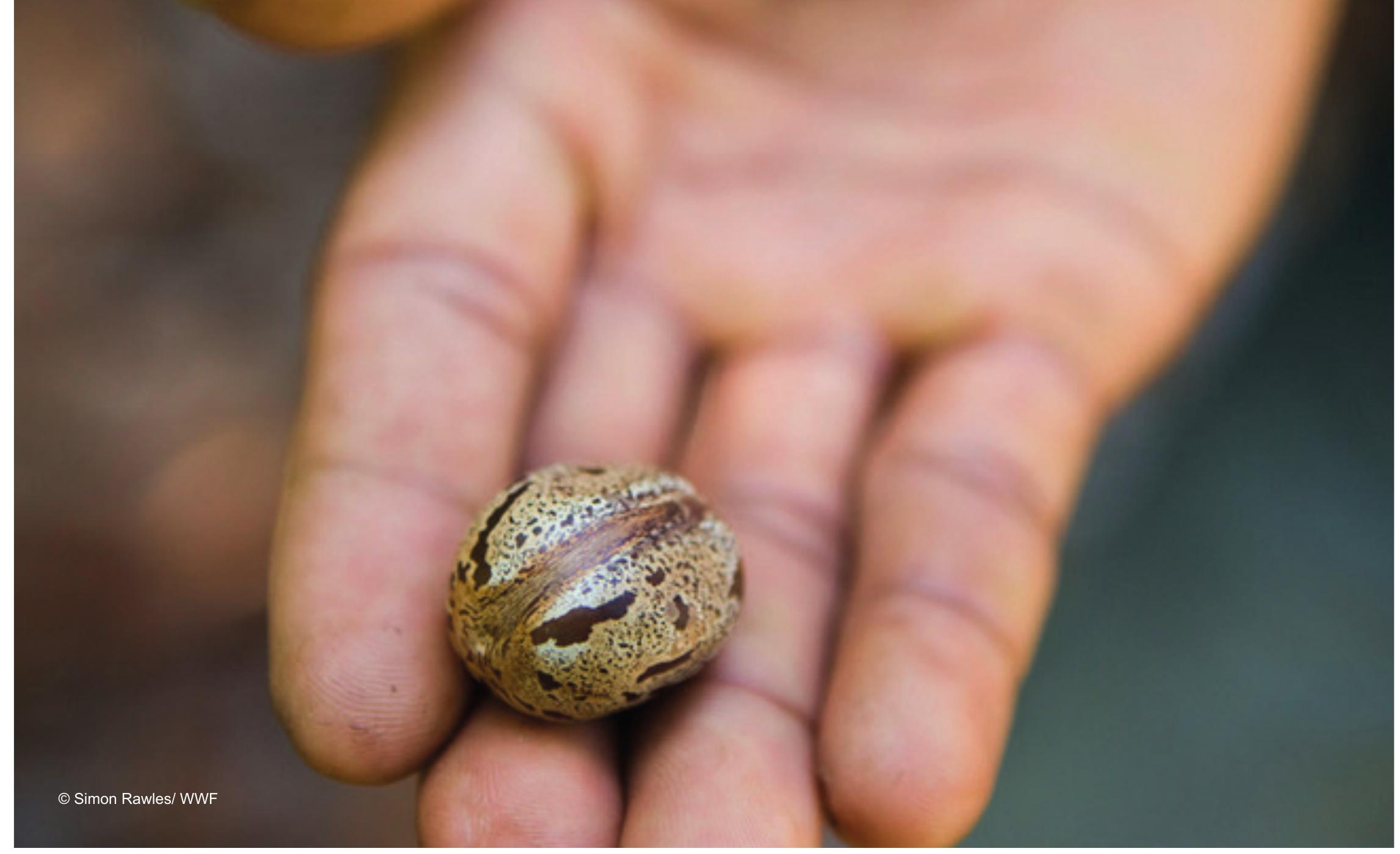 Figure 36 - Mapping the Natural Rubber Value Chain in